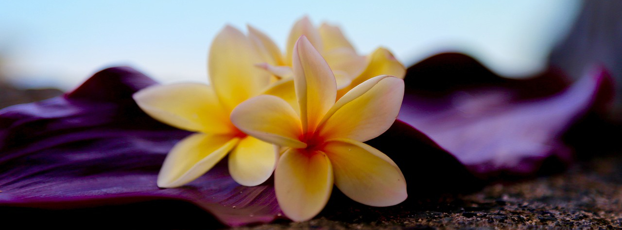 Mittwoch, 1. Mai: Willkommen im Wonnemonat! – Die Mitmach-Buchhandlung